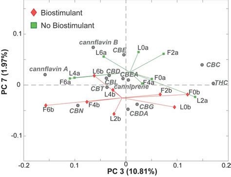 Frontiers Effect Of Saline Irrigation And Plant Based Biostimulant