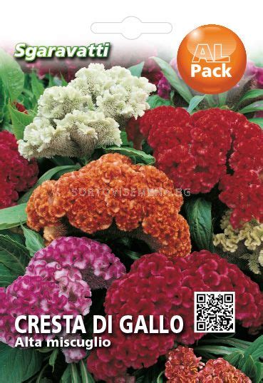 Семена Целозия кичеста`sg Цветя Sortovisemena Bg