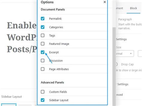 How To Enable Excerpt On Wordpress Post And Page