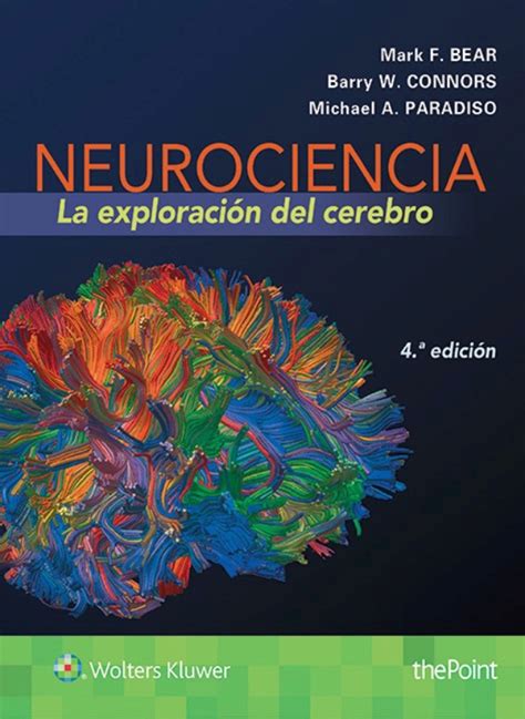 Bear Neurociencia