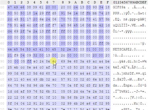 shift click arrows in hexeditor to select multiple bytes by