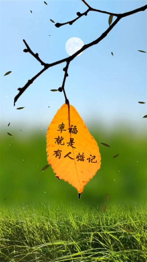 执子之手，与子偕老风景手机静态壁纸 风景手机壁纸下载 元气壁纸