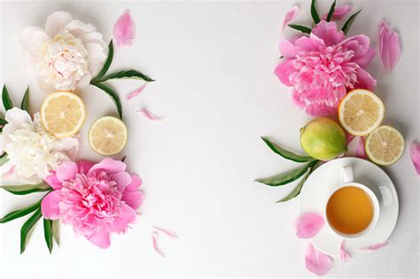 차 한 잔 신선한 꽃모란이 있는 감귤류가 흰색 배경에 모란 휴일 여성 스러운 아침 식사 축 하 아침 컨셉 맨 위 보기 공간을 복사합니다 건강한 식생활에 대한 스톡 사진 및