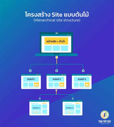 Site Structure คืออะไร มีหน้าที่หรือความสำคัญอย่างไรในการทำบทความ Seo