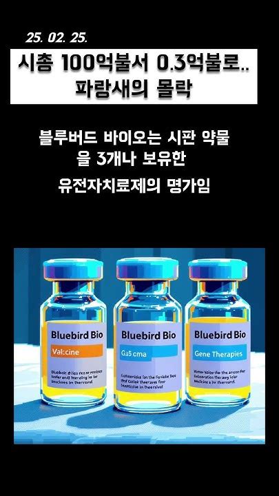 시총 100억弗→0 3억弗 파랑새의 몰락 Youtube