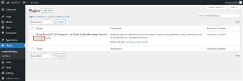 Active Directory LDAP Integration For Cloud Shared Hosting Platforms