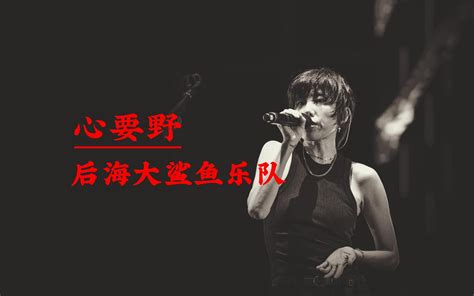 无损音质后海大鲨鱼乐队心要野经典歌曲无损音质完整版 bilibili B站 无水印视频解析6li6在线工具箱