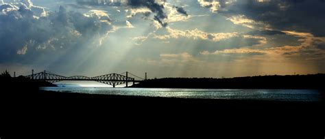 Concerning Skin Conditions Sjs Shingles Cellulitis