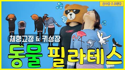 체형교정운동 이지조이