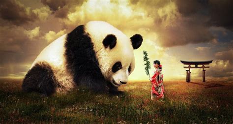 Use Pandas Data Frames More Effectively With The Top 7 Column