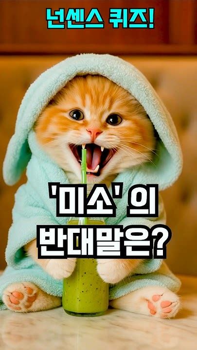 미소의 반대말은 넌센스퀴즈 아재개그 퀴즈 유머 고양이 Youtube