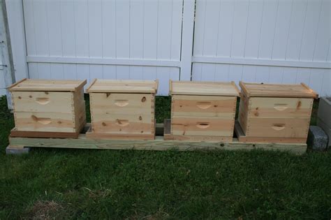 Honey Bee Hive Set Up A Healthy Life For Me