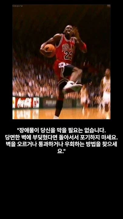마이클 조던 명언 Michael Jordan Quotes Shorts Youtube