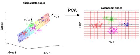 Pca Practical Guide To Principal Component Analysis In R And Python
