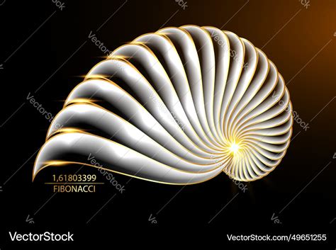 3d fibonacci sequence golden ratio snail spiral vector image