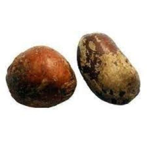 Fava De Ario Velas Namaste