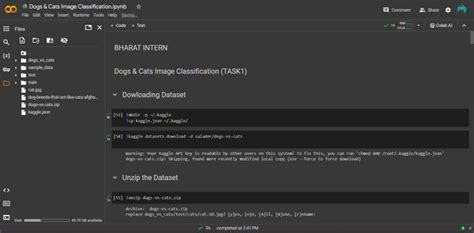 ravi pandey on linkedin bhartintern datascience python