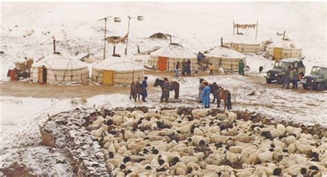 Сар шинийн өдрүүдэд хүйтрэх төлөвтэй байна Subeedei Mn