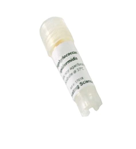 Aldon Staphylococcus Epidermidis Freeze Dried Culture Wo Transfer