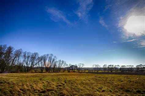 Free Images Landscape Tree Nature Grass Horizon Cloud Sky Sun
