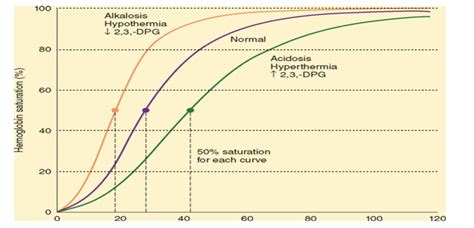 Oxygen Hemoglobin Dissociation Curve Diagram Quizlet