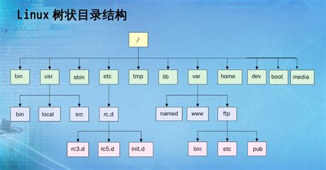 Linux操作系统详解：从基础到进阶 Csdn博客