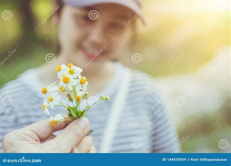Male Giveing Flower To Lovly Girl Couple Lover Outdoor Stock Image Image Of Happy Happiness