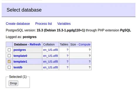 How To Manage A Postgresql Database With Docker Mastertheboss