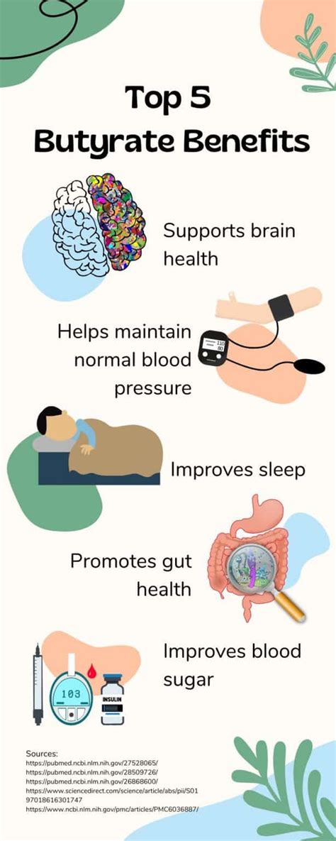 Butyrate Benefits 10 Things You Need To Know