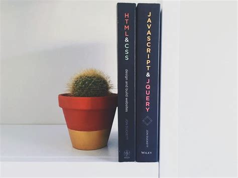 5 Best Javascript Books That You Cant Avoid From Beginning Designveloper