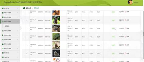 基于springboot的宠物喂养饲养交流管理系统的设计与实现 源码 lw 报告 运行调试 csdn博客