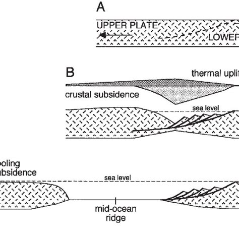 Sequential Schematic Cross Sections Depicting The Interaction Of