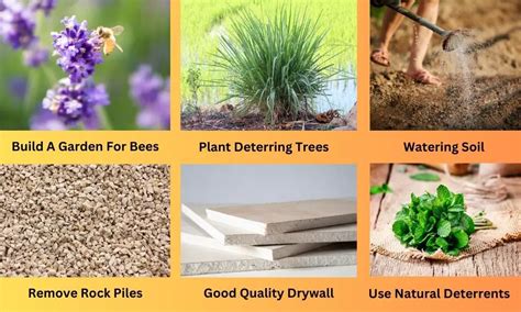 Proven Ways To Prevent Ground Bees From Returning Beekeepingstudy