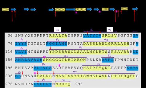 Overview Of In Silico Engineering Of Lcc A The Structure Of Lcc From Download Scientific