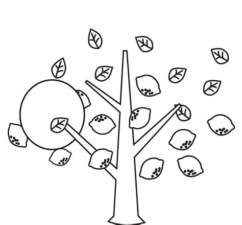 Lemon Tree Drawing At Getdrawings Free Download