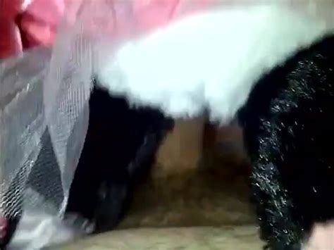 Fucking My Plushie Panda