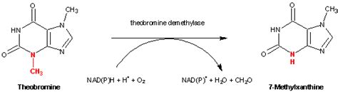 Eawag Bbd Reaction Reacid R1248