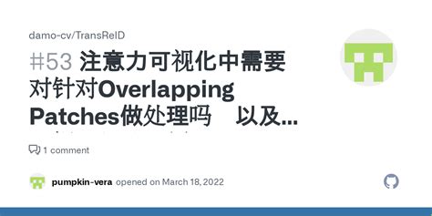 注意力可视化中需要对针对overlapping Patches做处理吗 以及可视化的哪一层 · Issue 53 · Damo Cvtransreid · Github