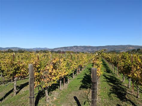 Naturetastic Blog Napa Valley Part 2 Napa County Ca
