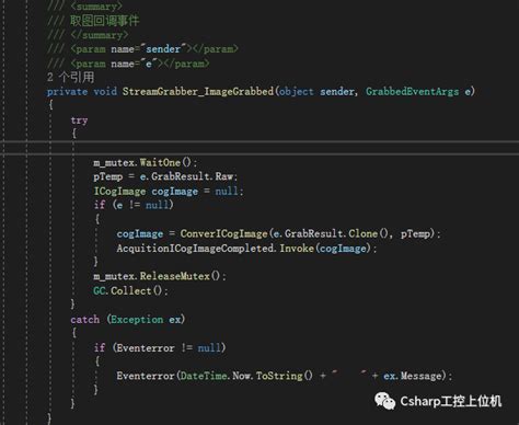 C Sdk Visionpro Icogimage