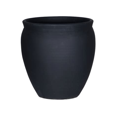 خرید و قیمت زاموفیلیا بزرگ با ارسال فوری در محل Vip