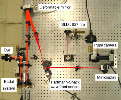 Figure 1 From Influence Of Adaptive Optics Ocular Aberration Correction