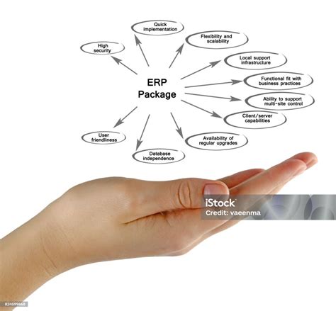 Photo Libre De Droit De Schéma Du Progiciel Erp Banque Dimages Et Plus Dimages Libres De Droit
