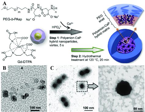 A Schematic Illustration Showing The Design And Synthetic Procedures Download Scientific