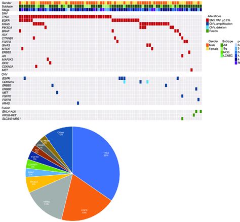 Genomic Landscape Of CtDNA Analysis With Genexus OPA System In Download Scientific Diagram