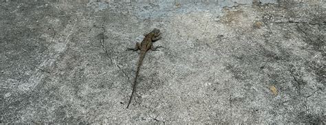 Setup Gitlab Ci For Project With Kmm By Stephen Lee Sep 2023 Medium