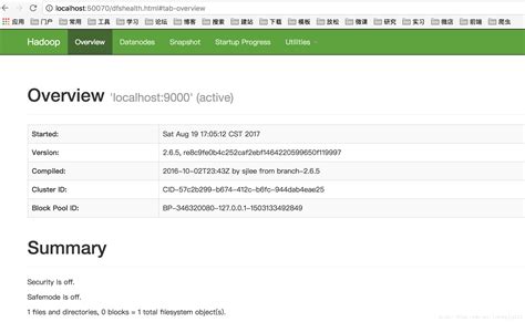 解决hadoop启动时的rvicerpc Address Or Dfsnamenoderpc Address