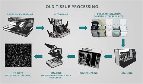 Tissue Processing In The 21st Century How Can I Incorporate Innovative Techniques To Make My