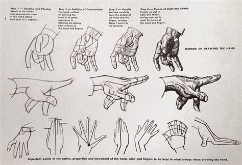 creative concepts week thirteen drawing hands part 2