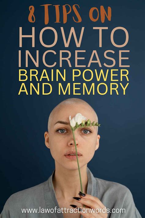 Tips On How To Increase Brain Power And Memory